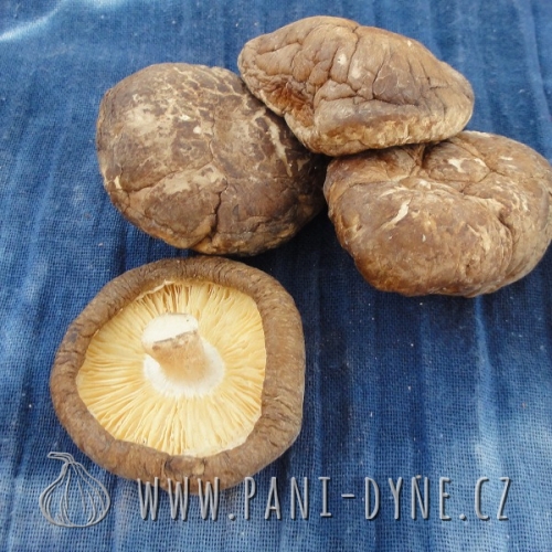 Paní Dýně - e-shop - detail - Houby shiitake 50 g | PaniDyne.cz